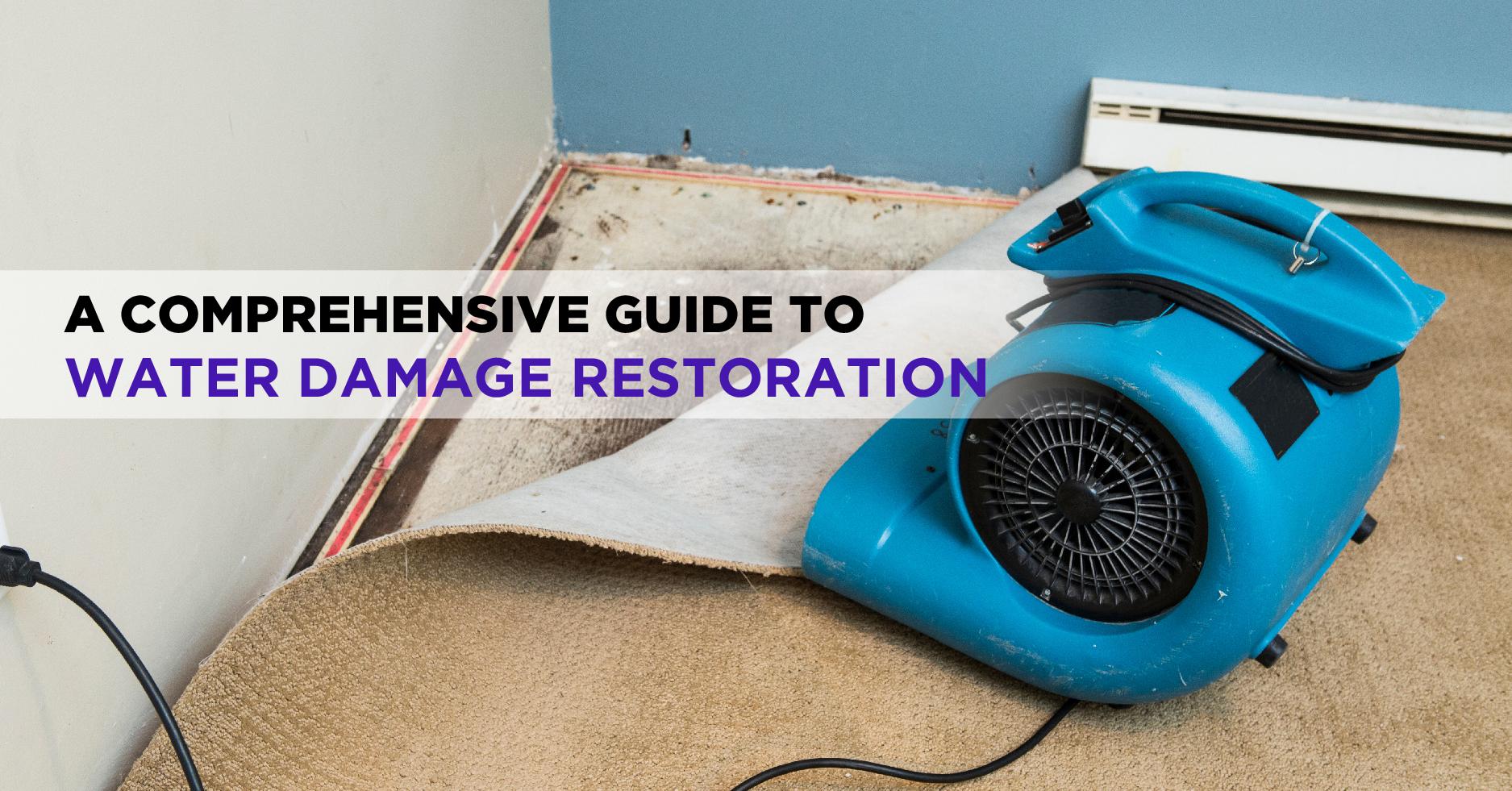 Reviving Your Space: A Comprehensive Guide to Water Damage Restoration ...